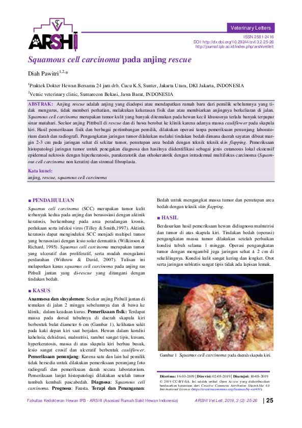 (PDF) Squamous cell carcinoma pada anjing rescue