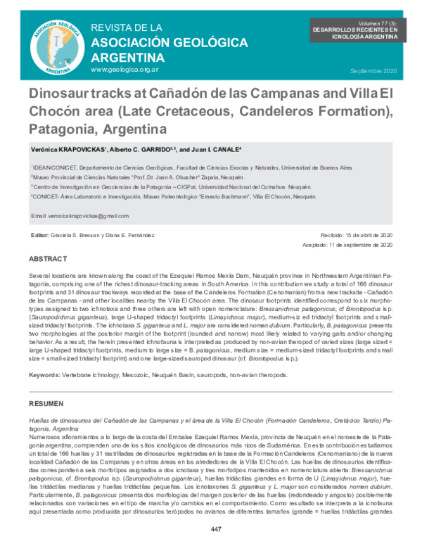 (PDF) Dinosaur tracks at Cañadón de las Campanas and Villa El Chocón ...