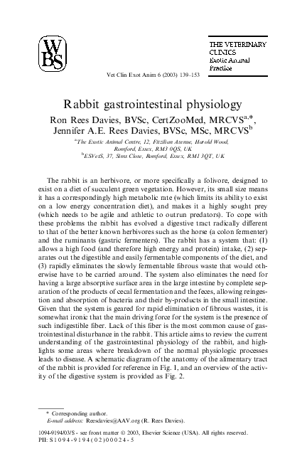 (PDF) Rabbit gastrointestinal physiology