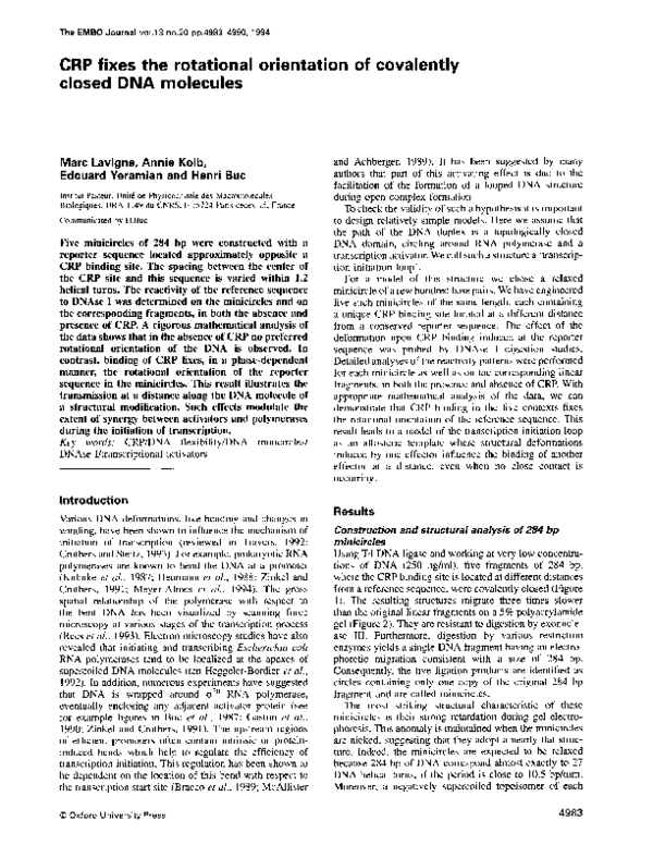(PDF) CRP fixes the rotational orientation of covalently closed DNA molecules