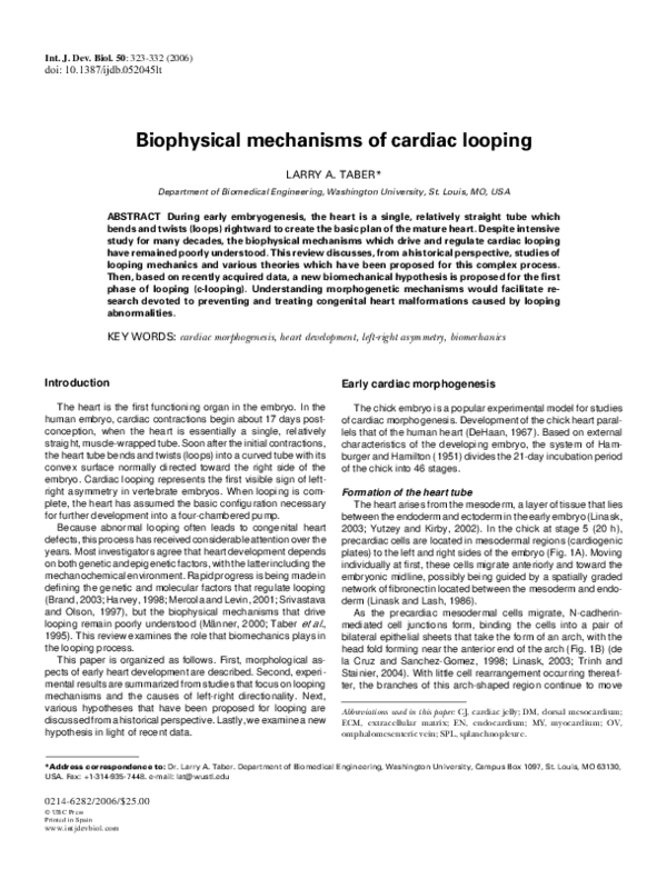 (PDF) Biophysical mechanisms of cardiac looping