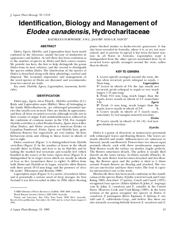 (PDF) Identification, biology and management of Elodea canadensis ...