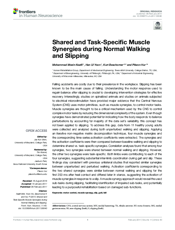 (PDF) Shared and Task-Specific Muscle Synergies during Normal Walking ...