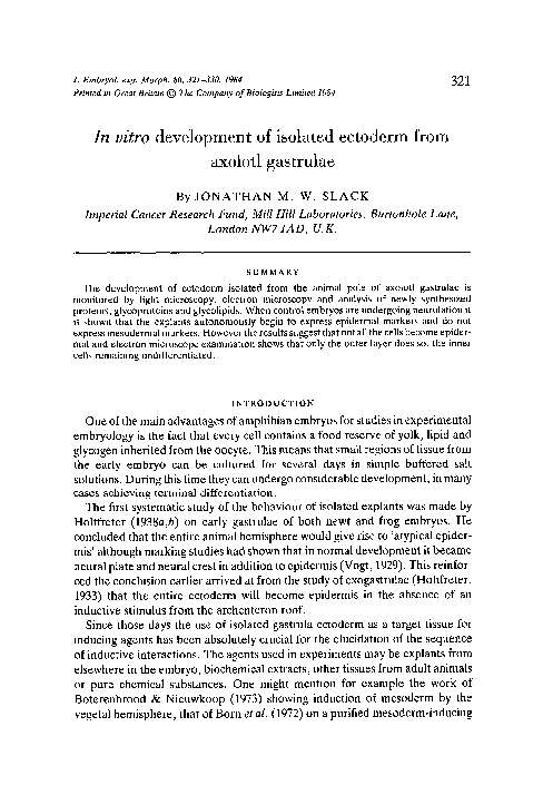 (PDF) In vitro development of isolated ectoderm from axolotl gastrulae