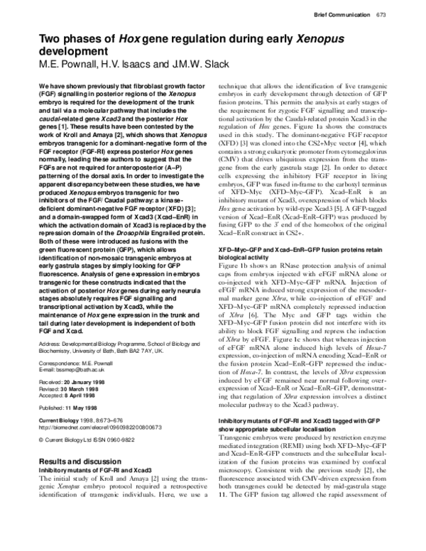 (PDF) Two phases of Hox gene regulation during early Xenopus development