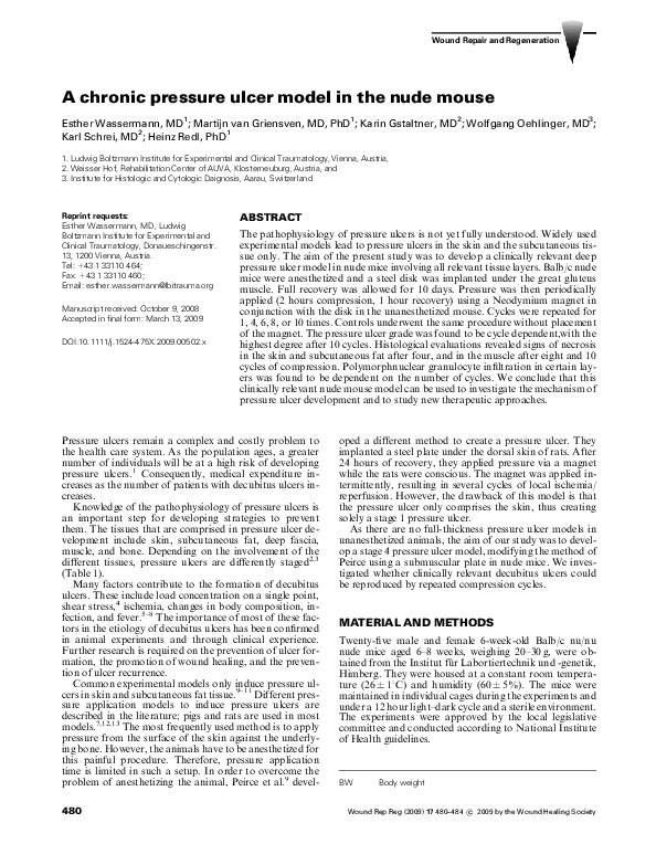 (PDF) A chronic pressure ulcer model in the nude mouse