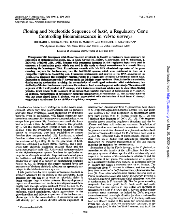 (PDF) Cloning and nucleotide sequence of luxR, a regulatory gene controlling bioluminescence in ...