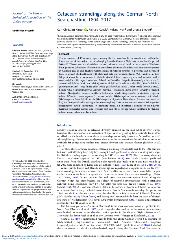 (PDF) Cetacean strandings along the German North Sea coastline 1604–2017