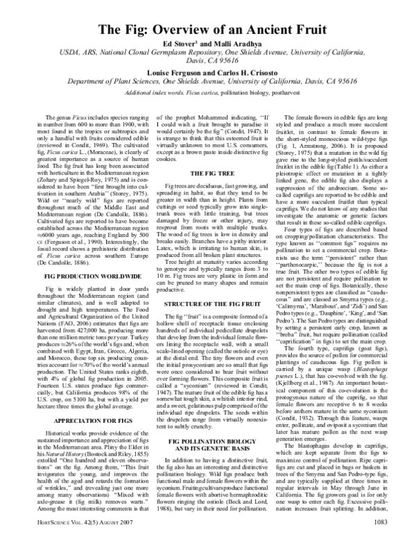(PDF) The Fig: Overview of an Ancient Fruit