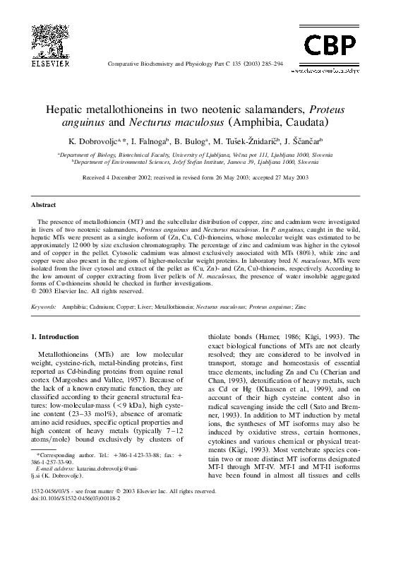 (PDF) Hepatic metallothioneins in two neotenic salamanders, Proteus ...