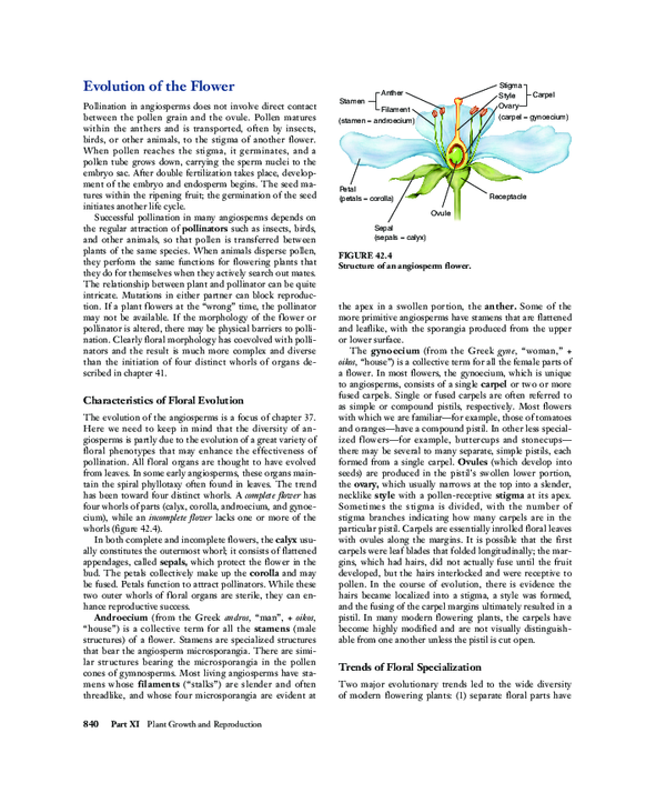 (PDF) Evolution of the flower