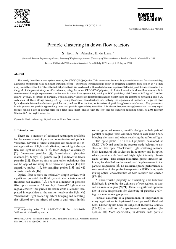 (PDF) Particle clustering in down flow reactors