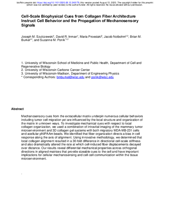 (PDF) Cell-Scale Biophysical Cues from Collagen Fiber Architecture ...