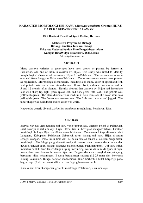 (PDF) KARAKTER MORFOLOGI UBI KAYU (Manihot esculenta Crantz) HIJAU DARI ...