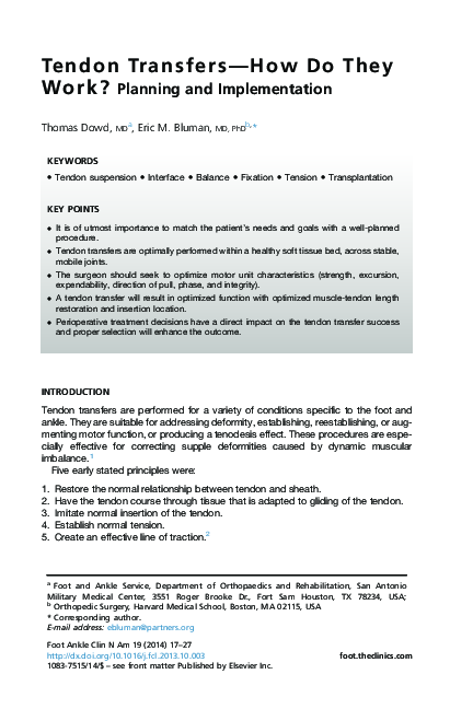 (PDF) Tendon Transfers—How Do They Work?