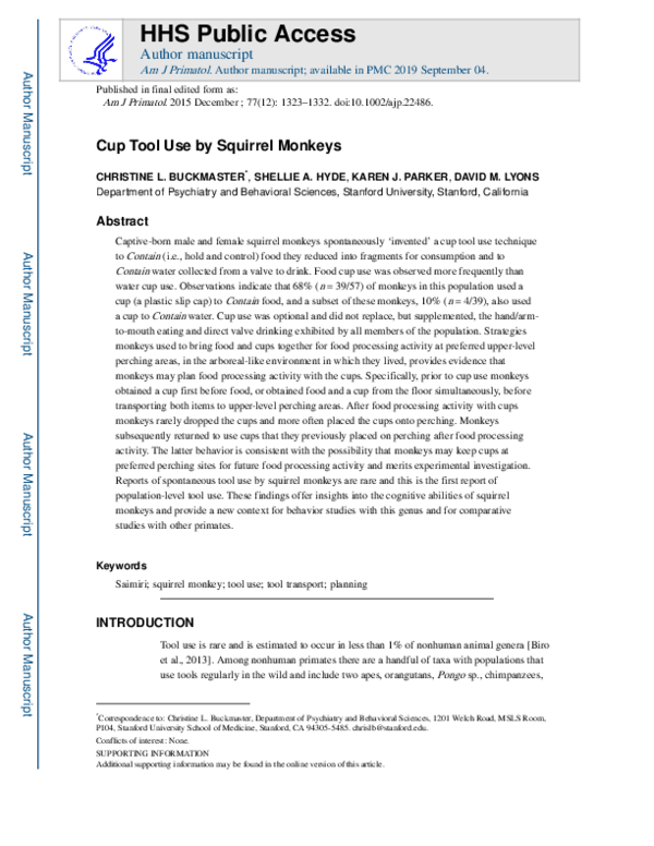(PDF) Cup tool use by squirrel monkeys
