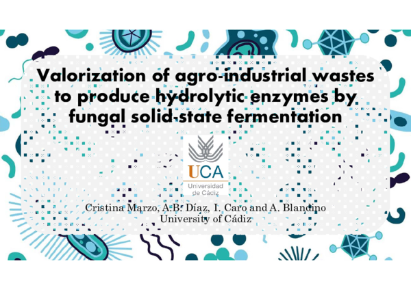 (PDF) Valorization of agro-industrial wastes to produce hydrolytic ...
