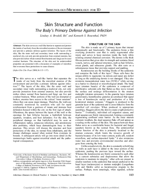 (PDF) Skin: Structure and Function