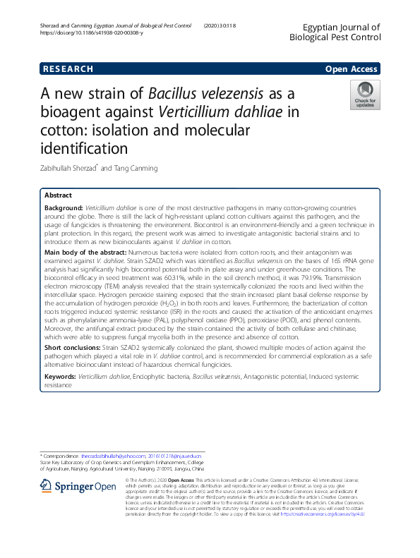 (PDF) A new strain of Bacillus velezensis as a bioagent against Verticillium dahliae in cotton ...