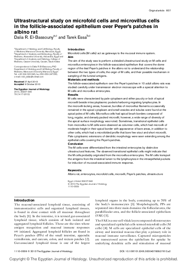 (PDF) Ultrastructural study on microfold cells and microvillus cells in ...