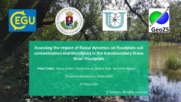 (PDF) Assessing the impact of fluvial dynamics on floodplain soil ...