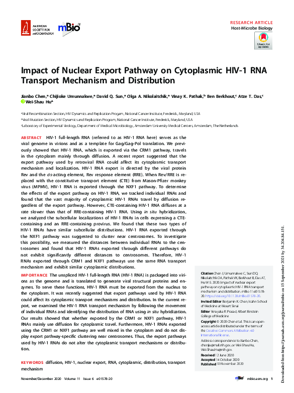 (PDF) Impact of Nuclear Export Pathway on Cytoplasmic HIV-1 RNA ...