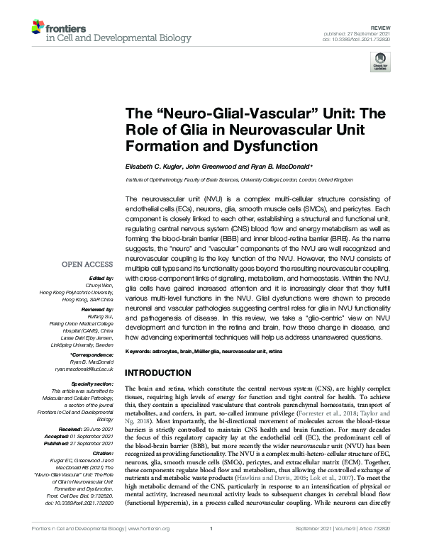 (PDF) The “Neuro-Glial-Vascular” Unit: The Role of Glia in ...