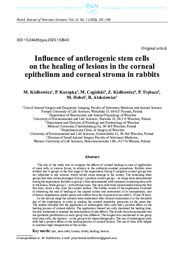 (PDF) Influence of antlerogenic stem cells on the healing of lesions in ...