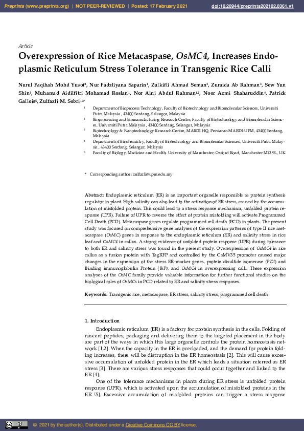 (PDF) Overexpression of Rice Metacaspase, OsMC4, Increases Endoplasmic ...