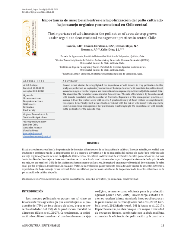 (PDF) Importancia de insectos silvestres en la polinización del palto ...