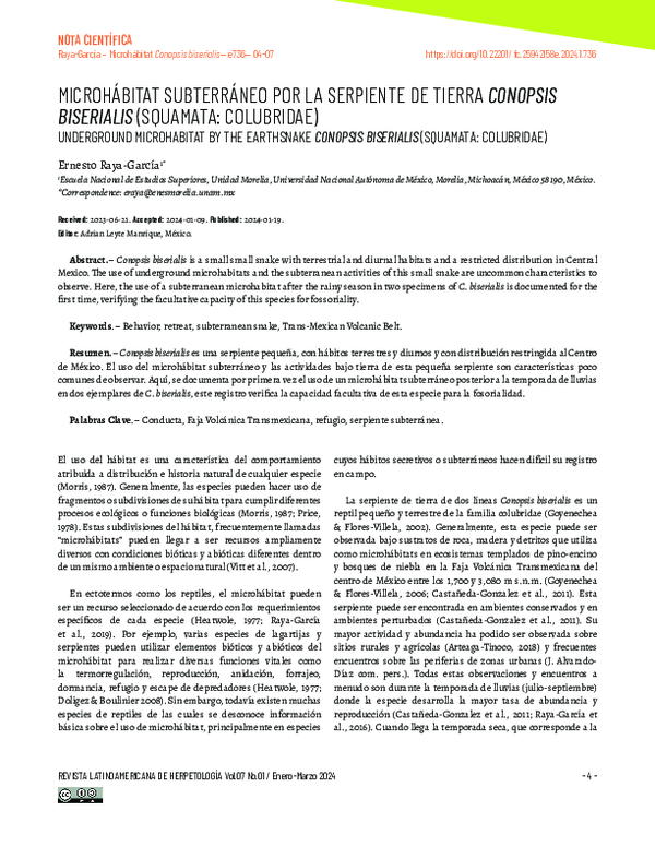 (PDF) MICROHÁBITAT SUBTERRÁNEO POR LA SERPIENTE DE TIERRA CONOPSIS ...