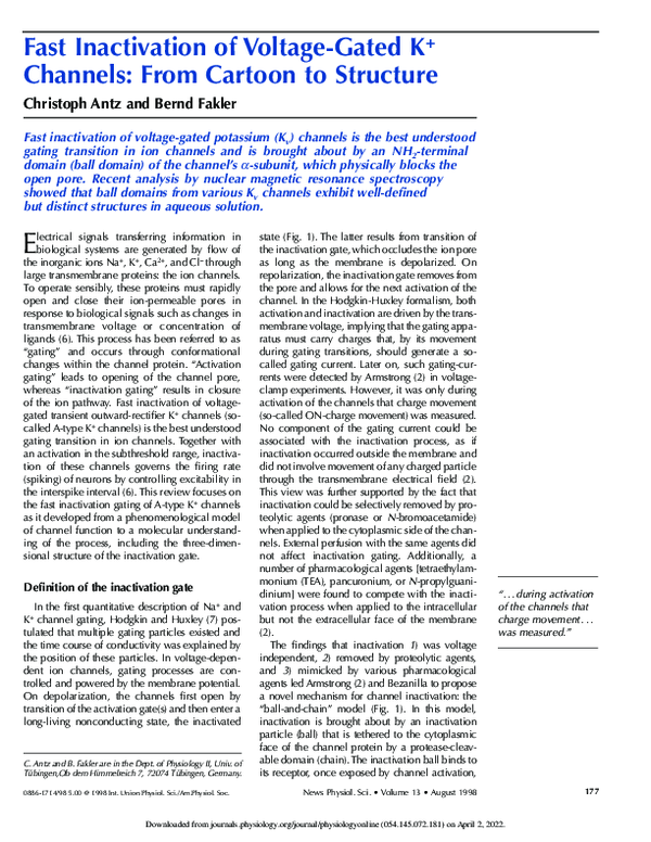 (PDF) Fast Inactivation of Voltage-Gated K+ Channels: From Cartoon to ...