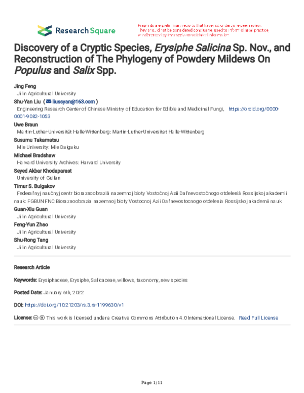 (PDF) Discovery of a Cryptic Species, Erysiphe Salicina Sp. Nov., and ...