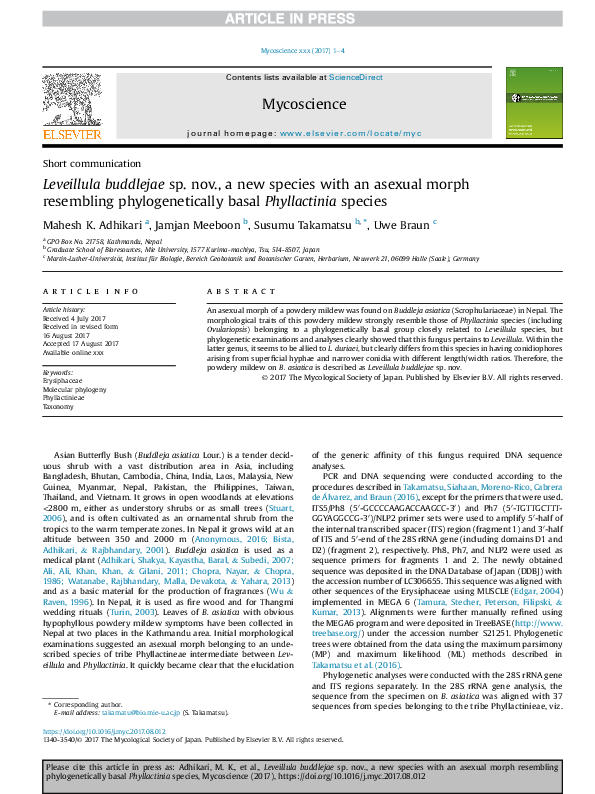 (PDF) Leveillula buddlejae sp. nov., a new species with an asexual ...