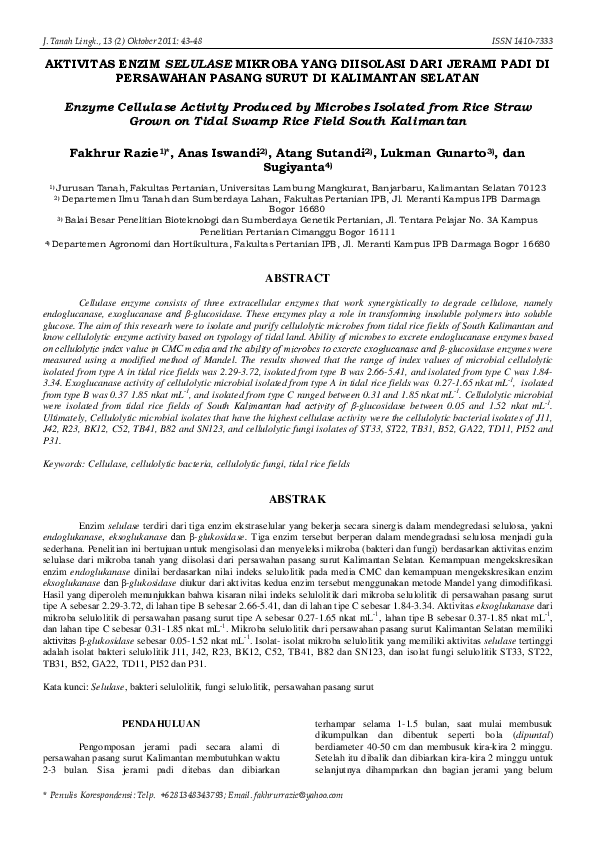 (PDF) Aktivitas Enzim Selulase Mikroba Yang Diisolasi Dari Jerami Padi ...