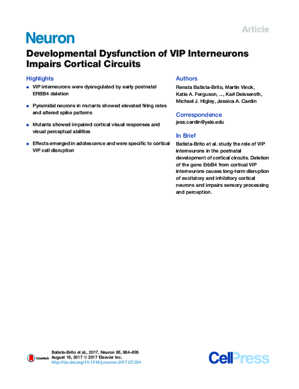(PDF) Developmental Dysfunction of VIP Interneurons Impairs Cortical ...