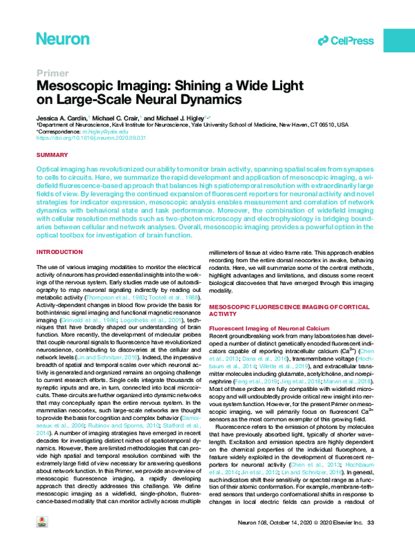(PDF) Mesoscopic Imaging: Shining a Wide Light on Large-Scale Neural Dynamics