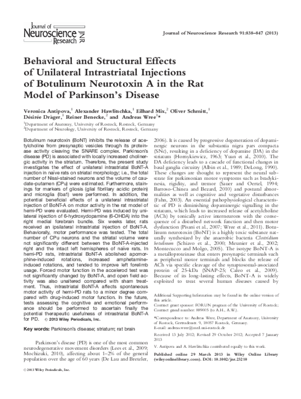 (PDF) Behavioral and structural effects of unilateral intrastriatal ...