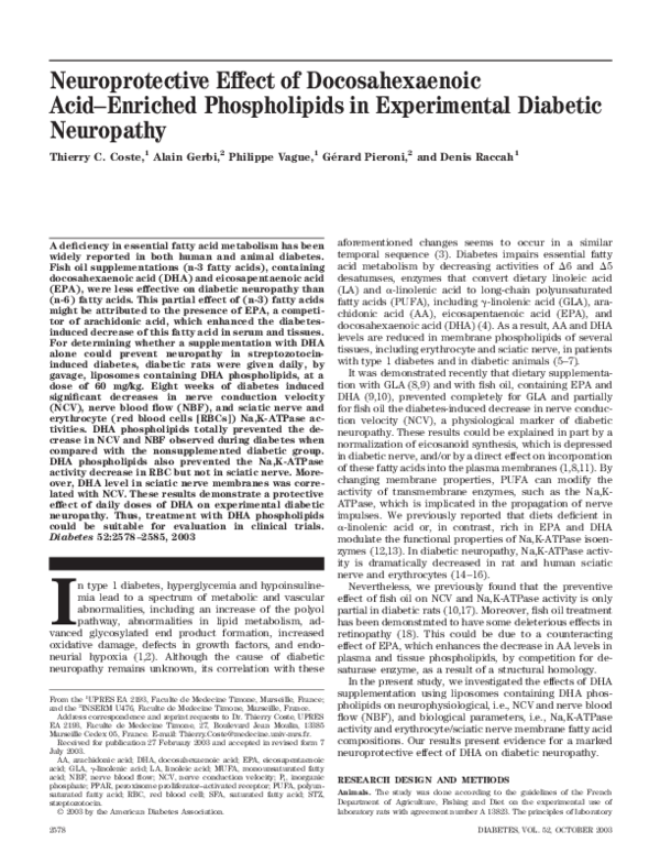 (PDF) Neuroprotective effect of docosahexaenoic acid in diabetic neuropathy (PDF) Neuroprotective effect of docosahexaenoic acid in diabetic neuropathy