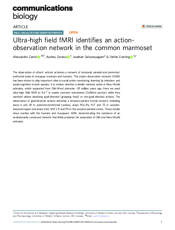 (PDF) Ultra-high field fMRI identifies an action-observation network in ...