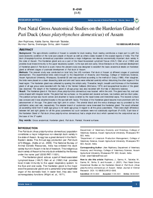 Post Natal Gross Anatomical Studies on the Harderian Gland of Pati Duck ...