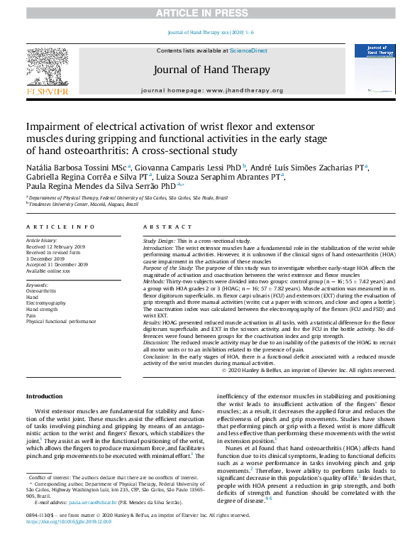 (PDF) Impairment of electrical activation of wrist flexor and extensor ...