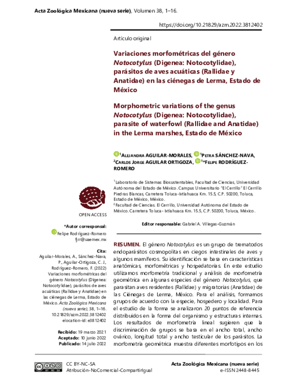 (PDF) Variaciones morfométricas del género Notocotylus (Digenea ...