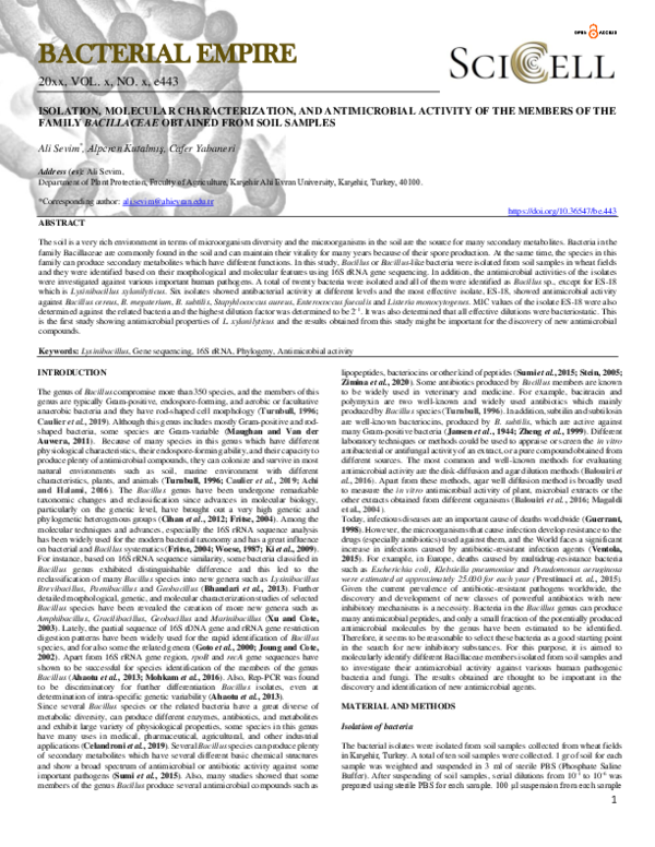 Pdf Isolation Molecular Characterization And Antimicrobial Activity