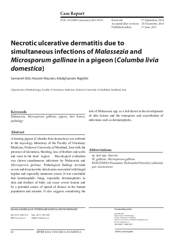 (PDF) Necrotic ulcerative dermatitis due to simultaneous infections of ...