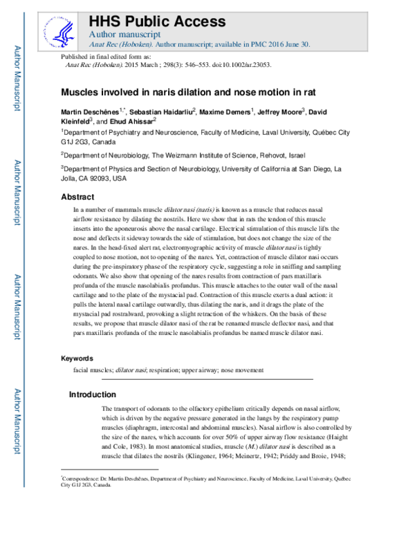 (PDF) Muscles Involved in Naris Dilation and Nose Motion in Rat