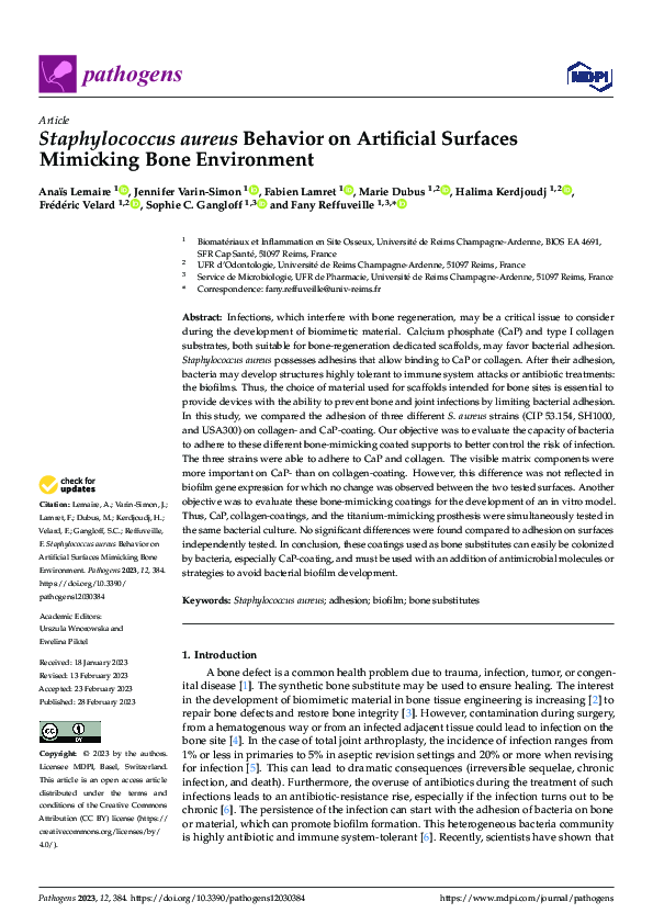(PDF) Staphylococcus aureus Behavior on Artificial Surfaces Mimicking Bone Environment