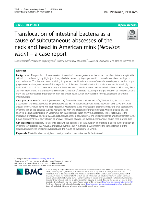 (PDF) Translocation of intestinal bacteria as a cause of subcutaneous ...