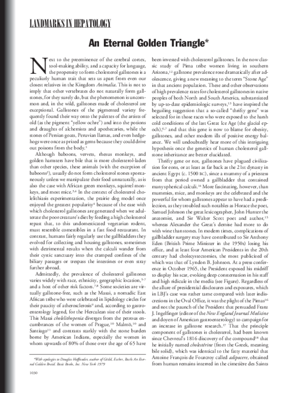 (PDF) An eternal golden triangle