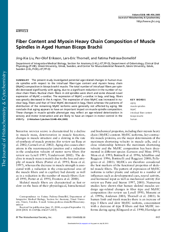 (PDF) Fiber Content and Myosin Heavy Chain Composition of Muscle Spindles in Aged Human Biceps ...